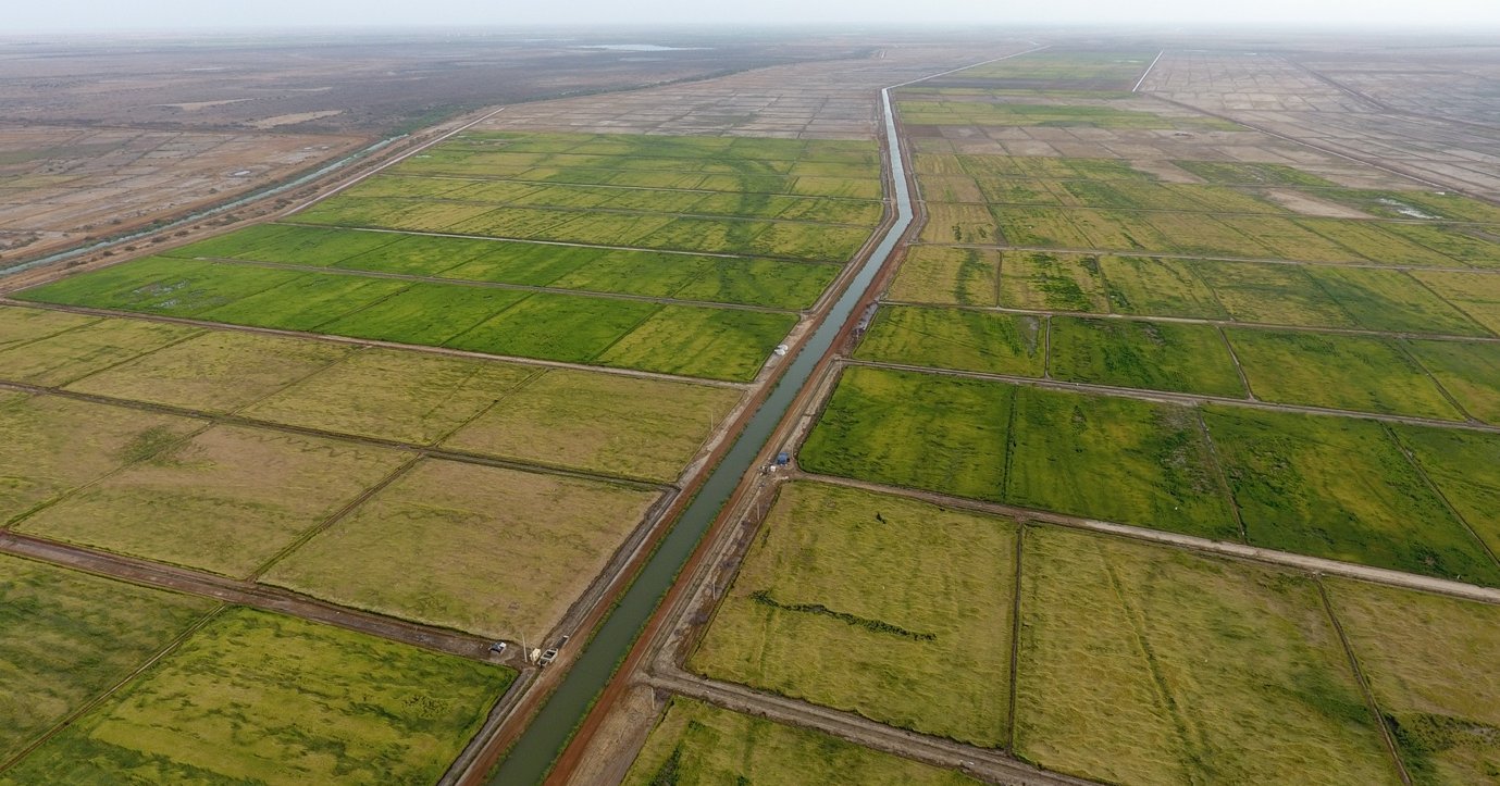 MAPME Initiative in Senegal: Rice Yield Modelling
