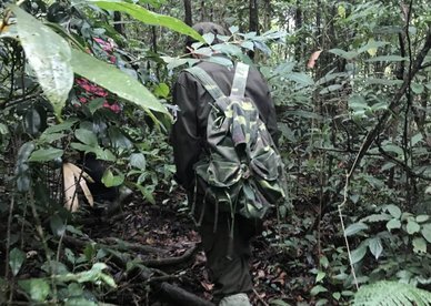 MAPME Initiative in Laos: Forest preservation